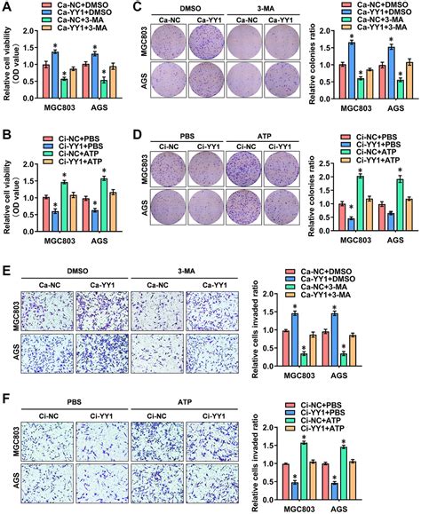 YY1 Is Regulated By ALKBH5 Mediated M6A Modification And Promotes
