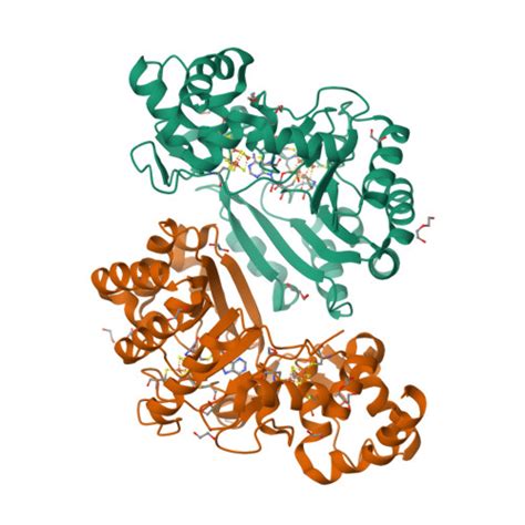 Rcsb Pdb 8ai1 Crystal Structure Of Radical Sam Epimerase Epee From