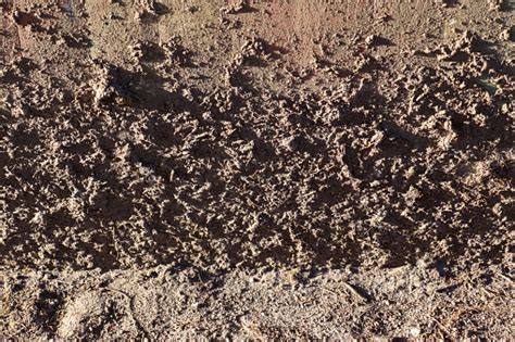 カラフルな老朽化したコンクリートの壁の詳細なビューは亀裂と構造の多くを持つ異なる近代的でホスト的な建物をフロン はがれるのストックフォトや
