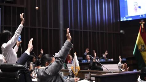 Senado de Bolivia aprueba en grande ley de censo oposición aplaude