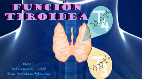 Función Tiroidea Udocz