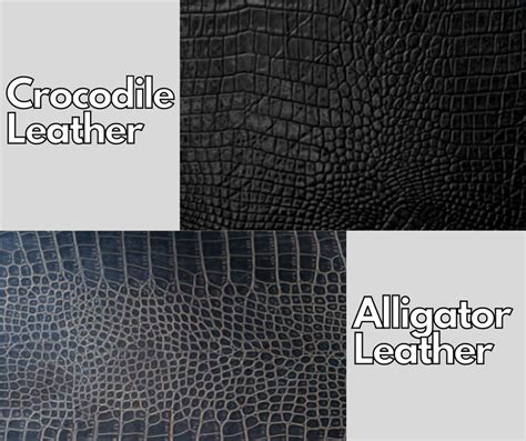 Crocodile Vs Alligator Leather At Alyssa Camm Blog