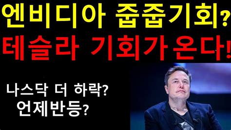 엔비디아 줍줍기회인가 테슬라 절호의 기호가 오고있다 사이버트럭 효율성 미쳤다 사이버트럭 덕분에 비지니스가 달라진다 10월 10일 전후 주가 상승하나 나스닥 어디까지