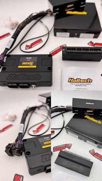 Haltech Nexus S3 Plug N Play Adapter Harness Kit Mitsubishi Evo 4 Kings Performance