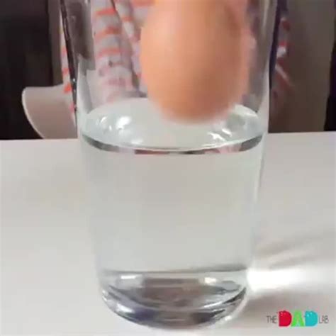 Behnam Hashemi Posted On Linkedin