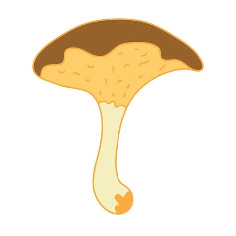 Premium Vector Suillus Bovinus Mushroom Hand Drawn Color Doodle