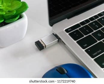 Mouse Receiver Images Stock Photos Vectors Shutterstock