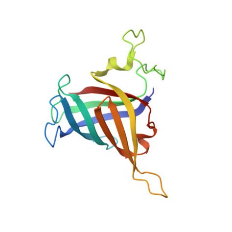 Rcsb Pdb 8uis Structure Of Transcription Complex Pol Ii Dsif Nelf Tfiis