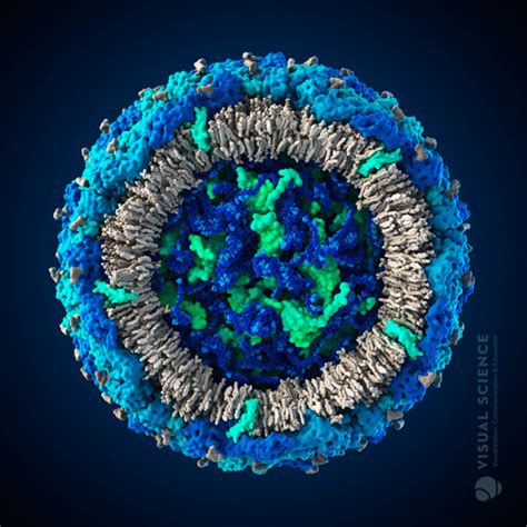 Twiv 380 Viruses Visible In Le Microscope Photonique This Week In
