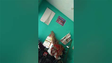 वायरलविडीयो गलेमे रुद्राक्ष का माला धारण प्रणाम करते पूरे विश्वको