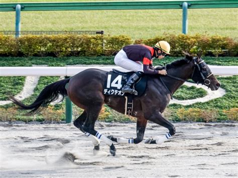 【伊勢佐木特別】東京 後方待機のディクテオンが外から鋭い脚でまとめて差し切り勝ち 競馬ニュース Netkeiba