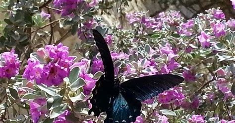 Steffies Small World The Space Between Ceiling And Floor