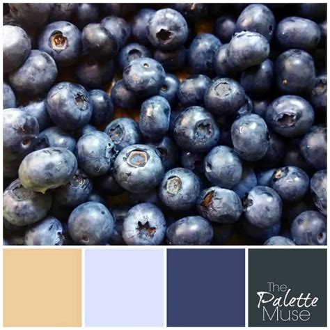 Blueberry Palette The Palette Muse