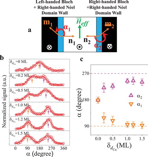 Transformation Of Feni Domain Walls From Chiral Néel Type To Achiral