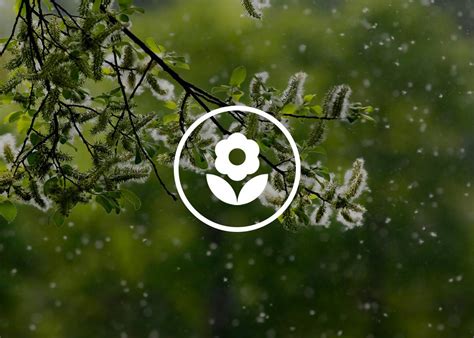 10 Day Weather Forecasts And Weekend Weather For Beaverton Or Weatherbug