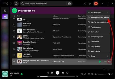 How To Remove Duplicate Songs With Spotify Dedup Audicable