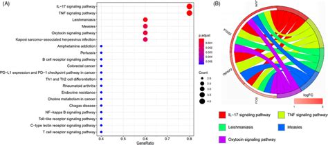 The KEGG Enrichment Analysis Of Hub Genes Bubble Diagram A And Chord