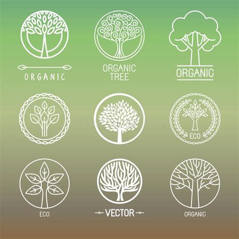 Vector Tree Logos And Badges Vector Tree Logo Set Of Abstract