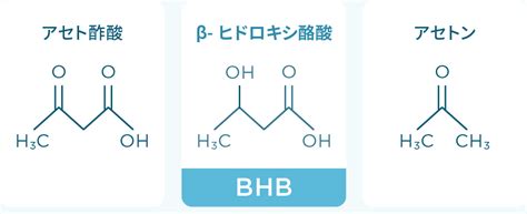 新しいアプローチ「ケトン体の摂取」｜ケトン体の摂取｜ケトン体で自分らしい体型へ