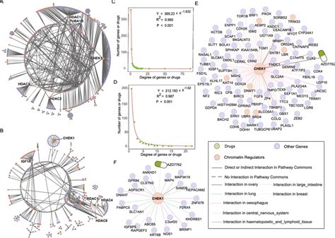 Analysis Of Crs Genetic Interaction Networks A Drug Response Related