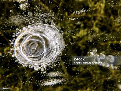 추상적 인 꽃 장미 와 얼음의 다른 패턴의 형태로 기포와 얼어 붙은 호수 물 녹조류와 어두운 바닥의 배경에 얼음 서리 형성에 그리기 디자인용 0명에 대한 스톡 사진 및 기타