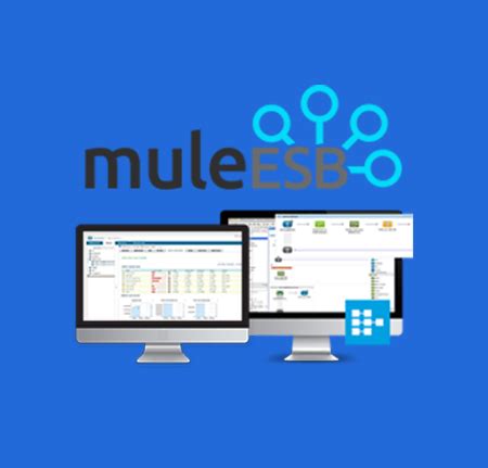 Mule Esb Training Idestrainings