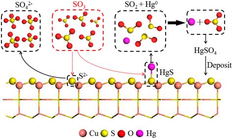 So3 Structure 3d