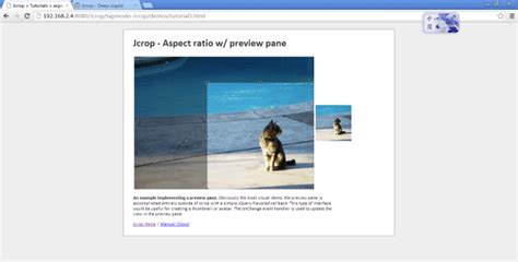 Java开发jcrop网页截图工具插件 Hongten 博客园