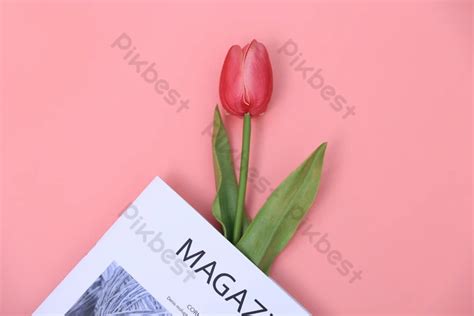 Magazine Background Image Backgrounds Psd Free Download Pikbest