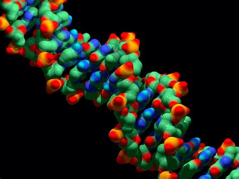 Lts Expands Into Large Molecule Drug Delivery With Sorrel Wearable Injection Device Acquisition