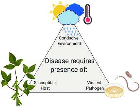 For Any Plant Disease To Occur There Must Be The Presence Of A