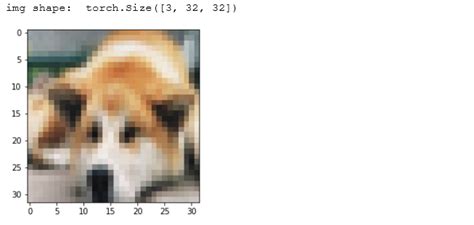 Pytorch Load Data Programming Review