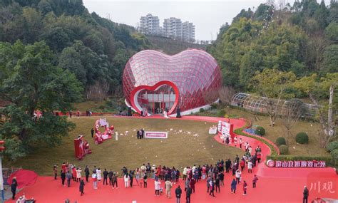 C视频 近百对新人公园领证 宜宾屏山首个公园式爱心殿堂婚姻登记处今日试运行 四川在线