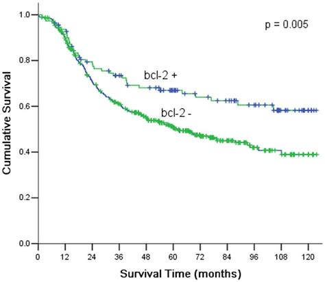Kaplan Meier Survival Curves According To The Expression Of Bcl 2