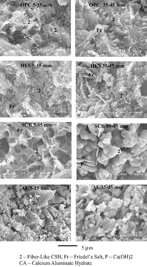 Sem Micrographs Of Porous Matrix At Inner And Outer Regions Download