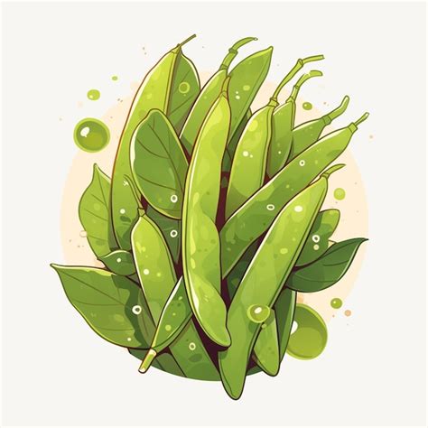 Premium Vector Fresh Green Beans With Tender Texture