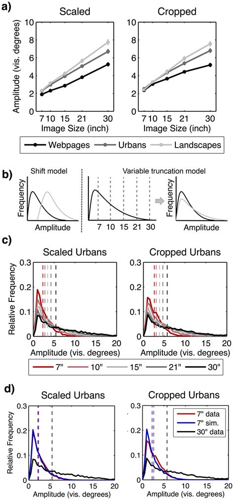A Increase Of The Mean Saccade Amplitude Across Image Sizes Depending