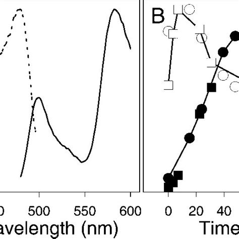 Excitation And Emission Spectra Of DsRed Solid Lines As Well As