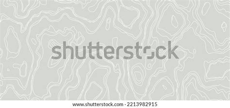 Stylized Multicolored Wavy Abstract Topographic Map Stock Illustration 2213982915 Shutterstock