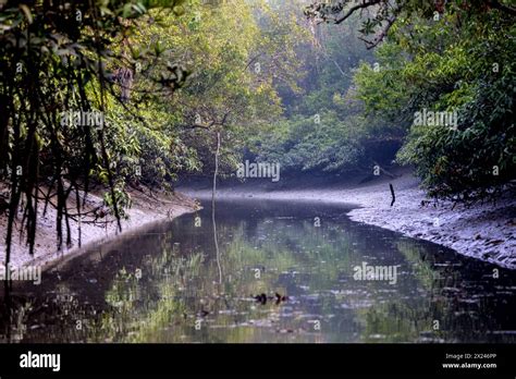 A Canal In Sundarbanssundarbans Is The Biggest Natural Mangrove Forest