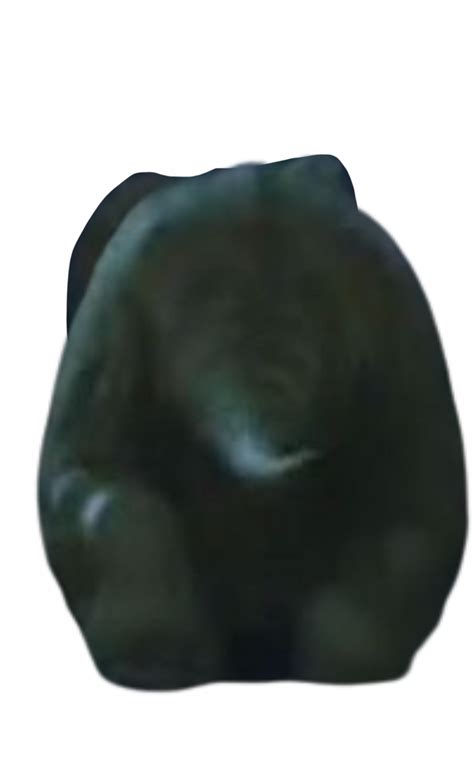 Patchi By Dracoawesomeness On Deviantart