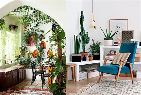 17 Ideas Para Decorar Tu Sala De Estar Con Plantas En Esta Primavera Mujeres Por Sinaloa