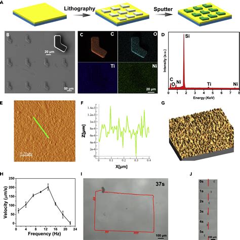 Immunomodulation And Delivery Of Macrophages Using Nano Smooth Drug Loaded Magnetic Microrobots