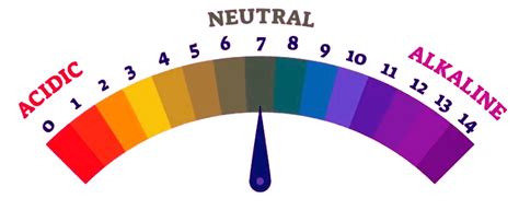 Ph Scale Explained