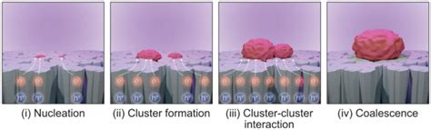 Schematic Representation Of Step By Step From Nucleation To