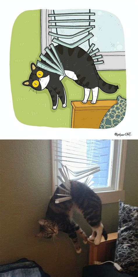 fotos de gatos mais engraçadas e famosas da Internet são ilustradas pela Tactooncat Tediado