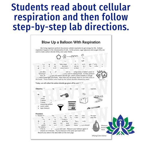 Cellular Respiration Lab Flying Colors Science