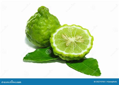 Bergamote image stock. Image du produit, antique, normal - 35274765
