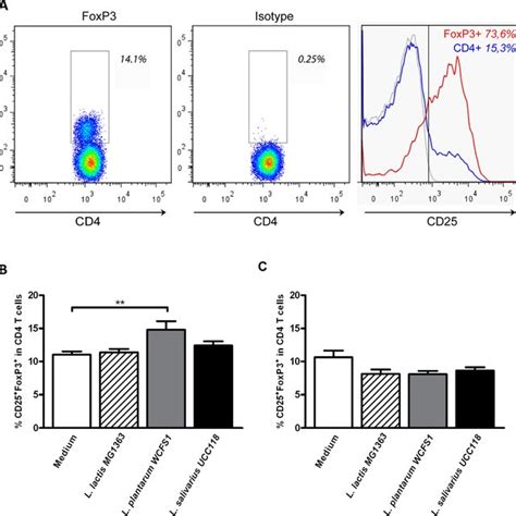 Regulatory T Cells Following Probiotic Treatment Regulatory T Cells