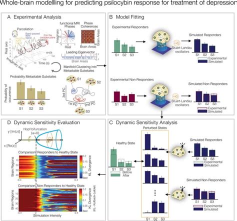 abstract graphical abstract brain dynamics predictive of response to